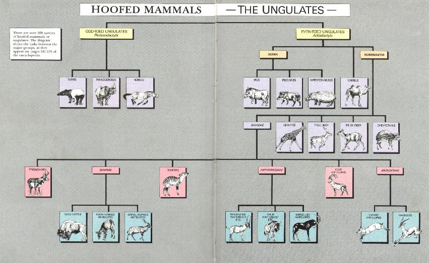 Hunter Links: Miscellaneous pages